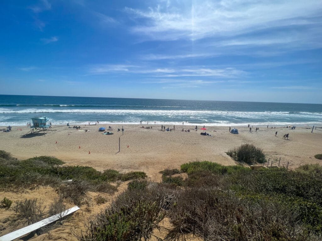 Carlsbad State Beach and Tamarack Beach